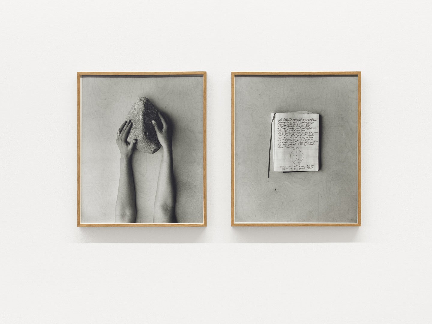 Beyond the Lens with Tarrah Krajnak | School of Art + Design