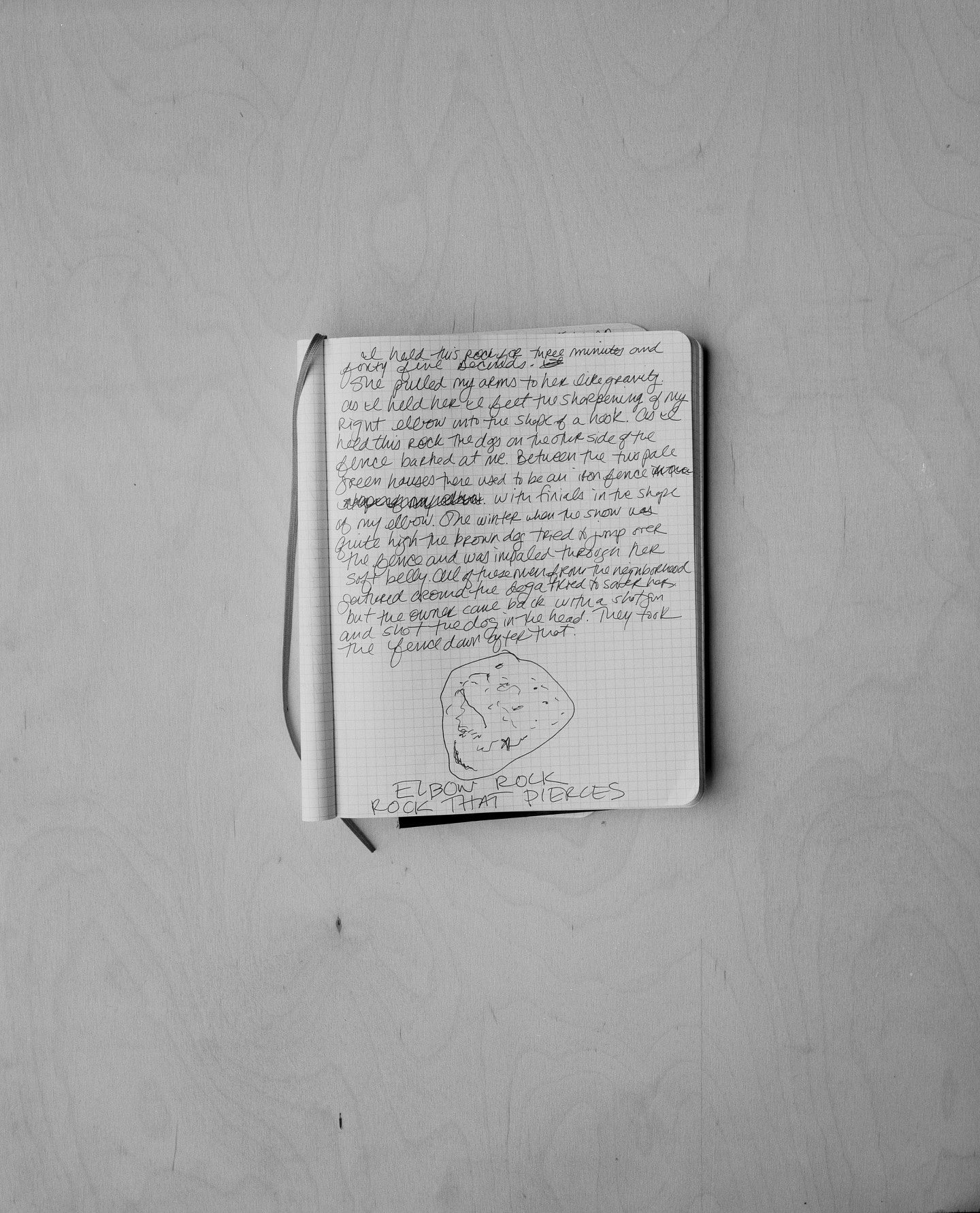 Beyond the Lens with Tarrah Krajnak | School of Art + Design